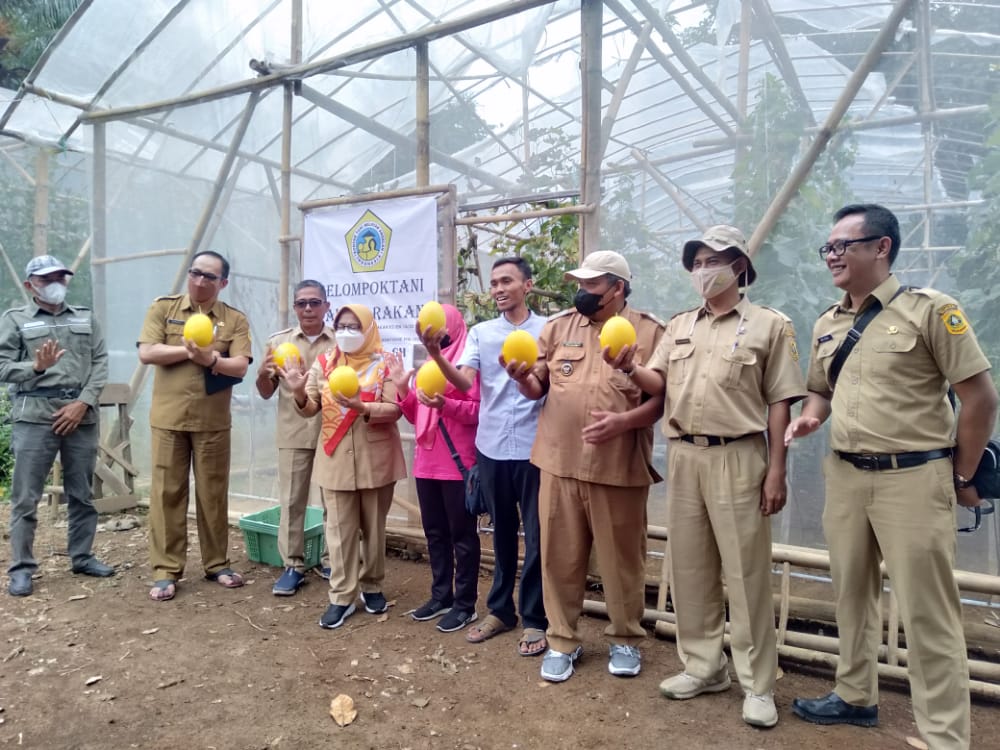 Kelompok Tani Pakusarakan Panen Melon, Kades Jasinga Turut Hadir ...